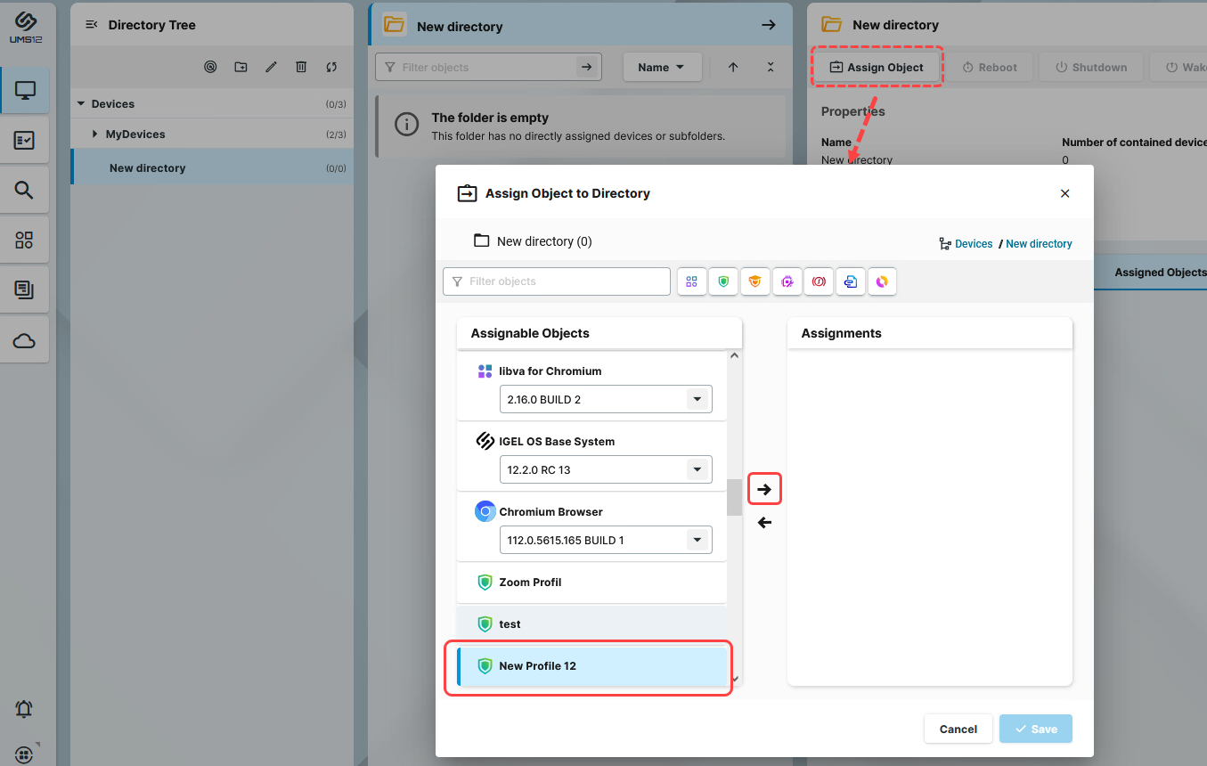 IGEL UMS 12: Basic Configuration